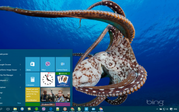 Octopus Windows 10 Theme Themepackme